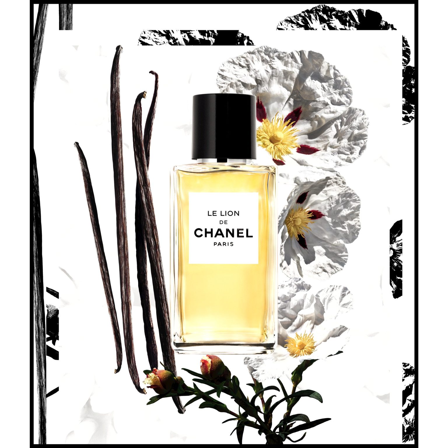 Le Lion de Chanel, Parfum dengan Semangat dan Kekuatan Raja Hutan